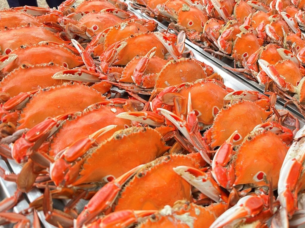 活煮螃蟹等同虐待！研究：牠們真的會痛 - 學術台 - 香港高登討論區