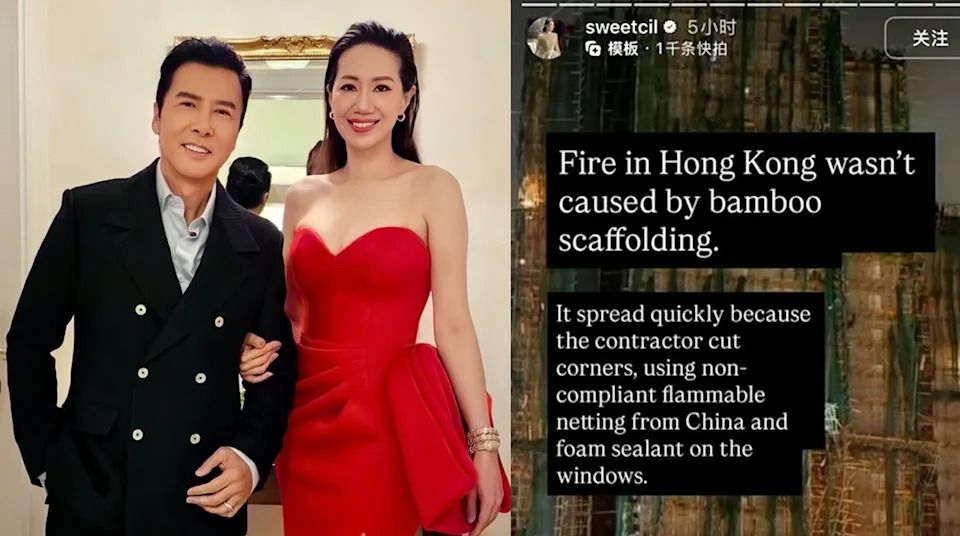 甄子丹妻汪詩詩稱「中國製防護網易燃」 遭網民圍攻後急刪文道歉 - 娛樂台 - 香港高登討論區