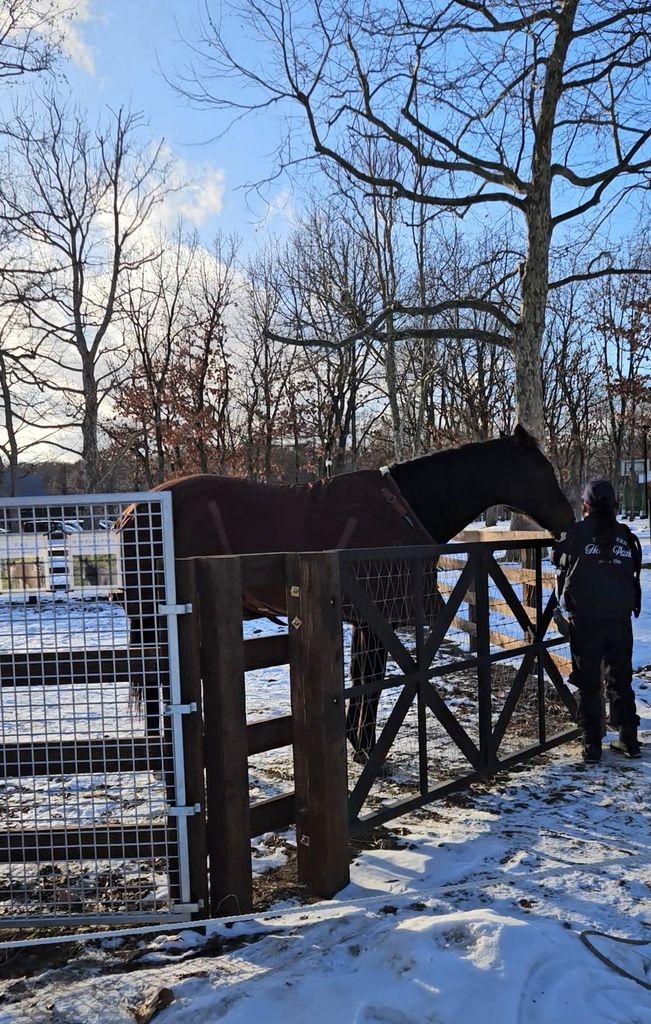 岩岩買左機票一月獨自去北海道（二） - 旅遊台 - 香港高登討論區